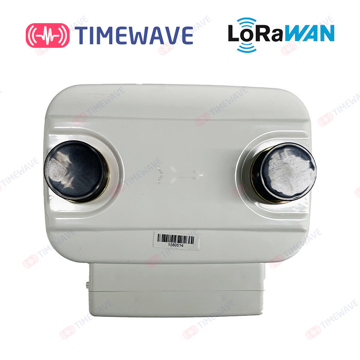 LoRaWAN Remote Smart Gas Meter Wireless LoRaWAN Horizontal Installation For Consumption ...