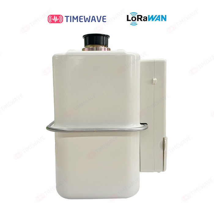 Wall Mounted Direct Connect Pre Payment Type LoRaWAN Gas Meter With ...
